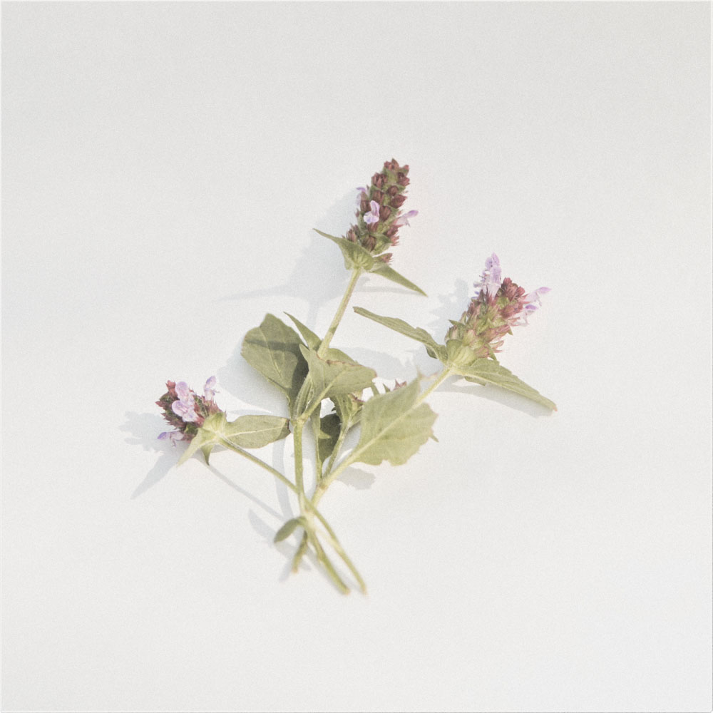 RECALM Soothing & Repairing Face Oil Serum – NÖRRE NORDIC